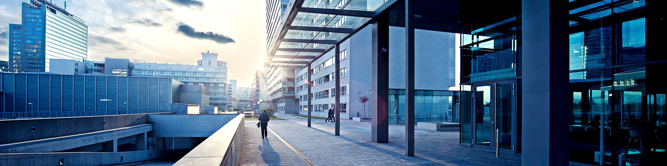 CNT Management Consulting als Arbeitgeber: Am Anfang top, mit der Zeit ...